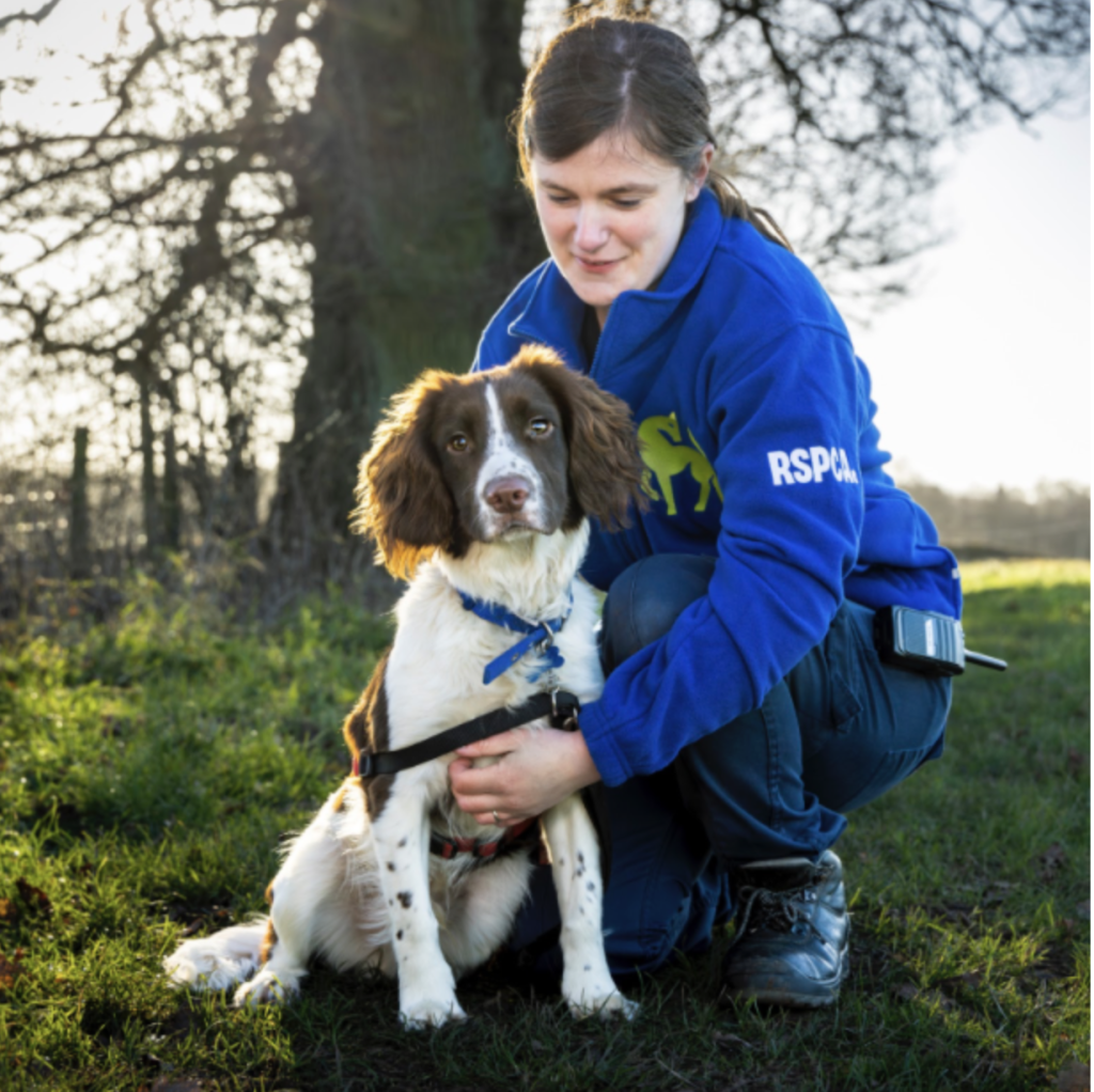 RSPCA launches ‘For Every Kind’ campaign to ‘rethink animals’ in 200th ...